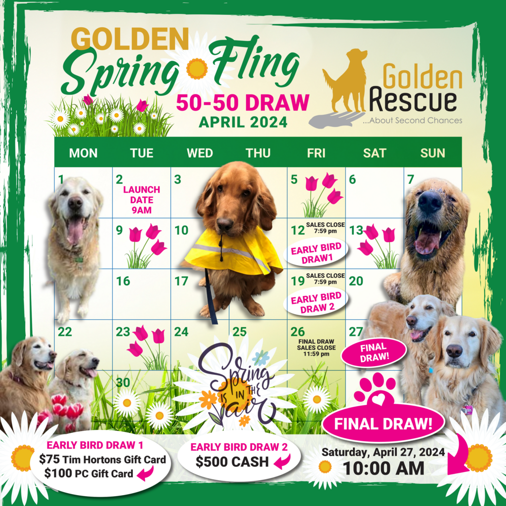 Golden Rescue - 50/50 Cash Lottery