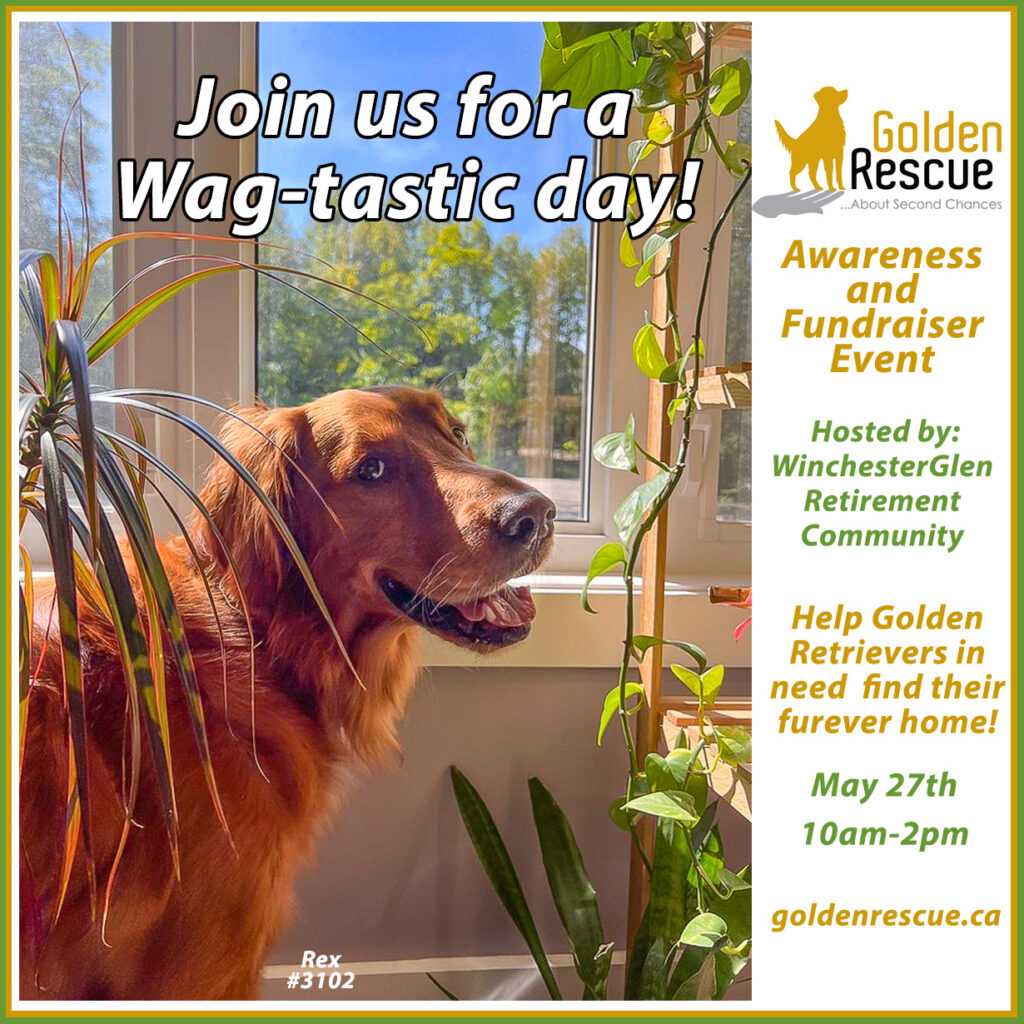Golden Rescue - Wag-Tastic Day Fundraiser